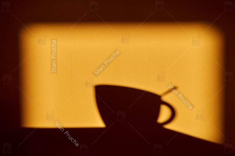 Sunny Cup Shadow On The Wall